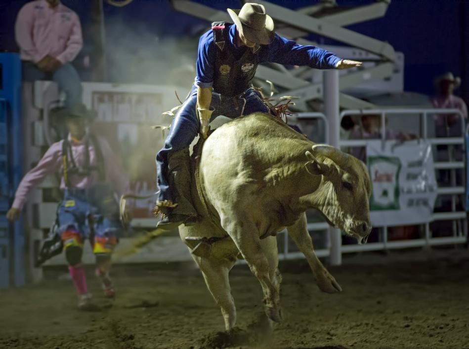 Bull Rider Shutterbug